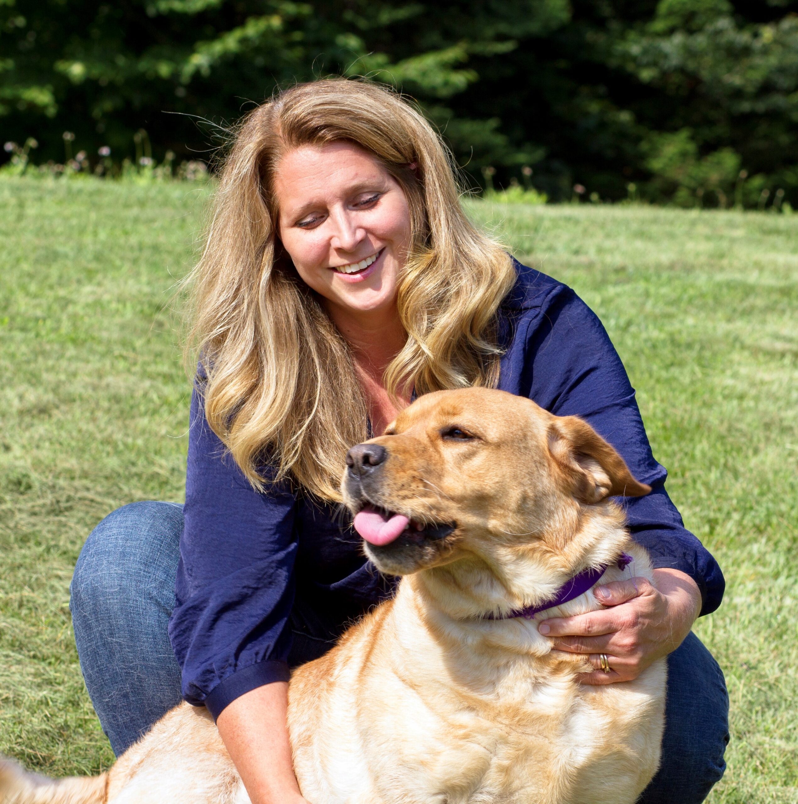 Contact - Apple Tree Labradors